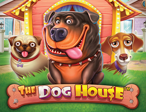 The Dog House | Cryptorino